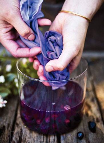 How to Make Your Own Blueberry Dye – Mother Earth News